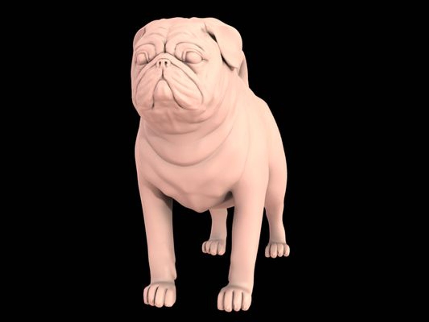 3d Model Realistic Dogs Pug