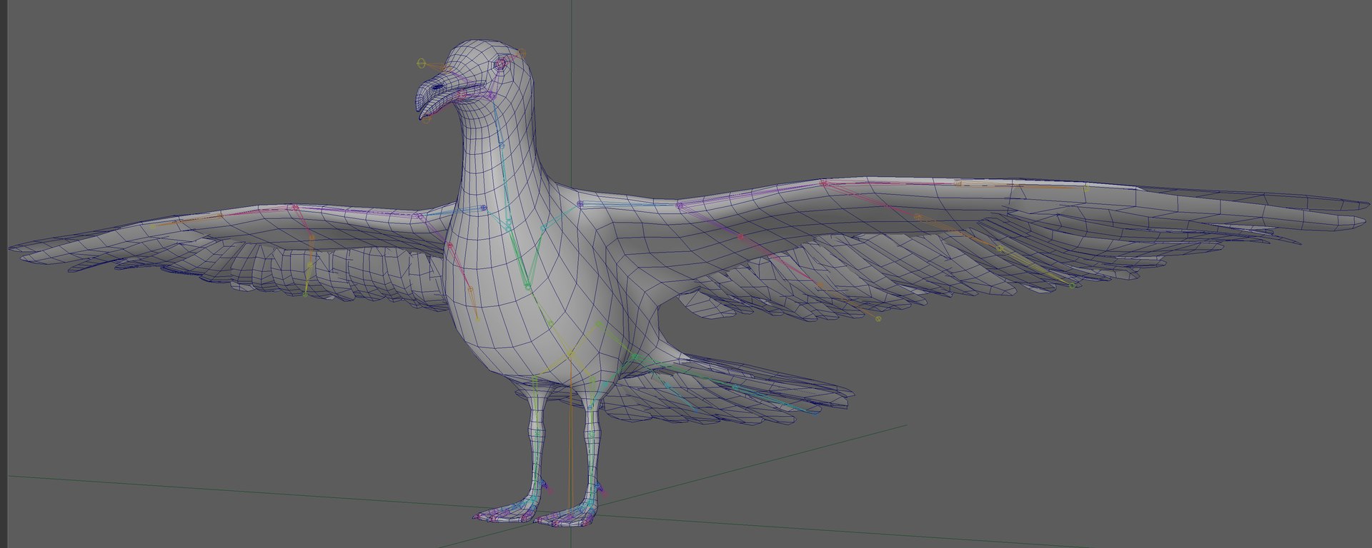 Seagull 3D - TurboSquid 2051989
