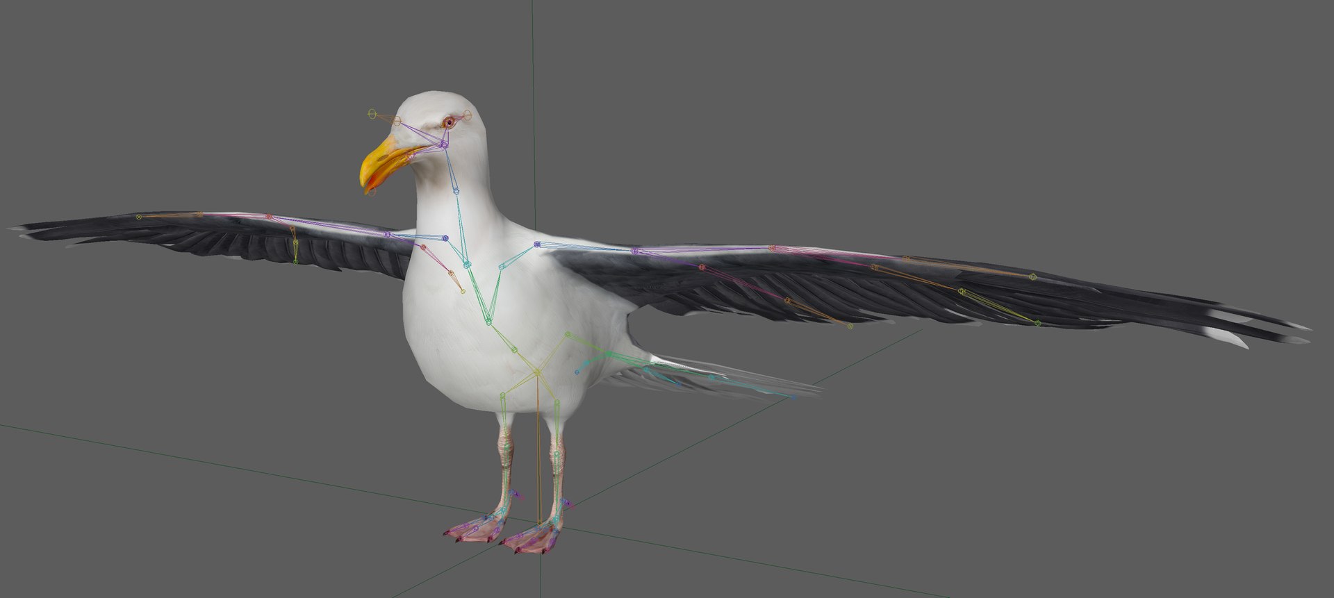 Seagull 3D - TurboSquid 2051989