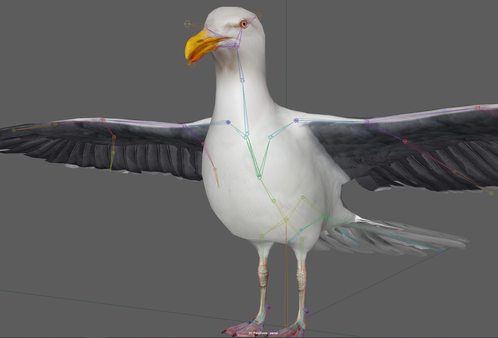 Seagull 3D - TurboSquid 2051989