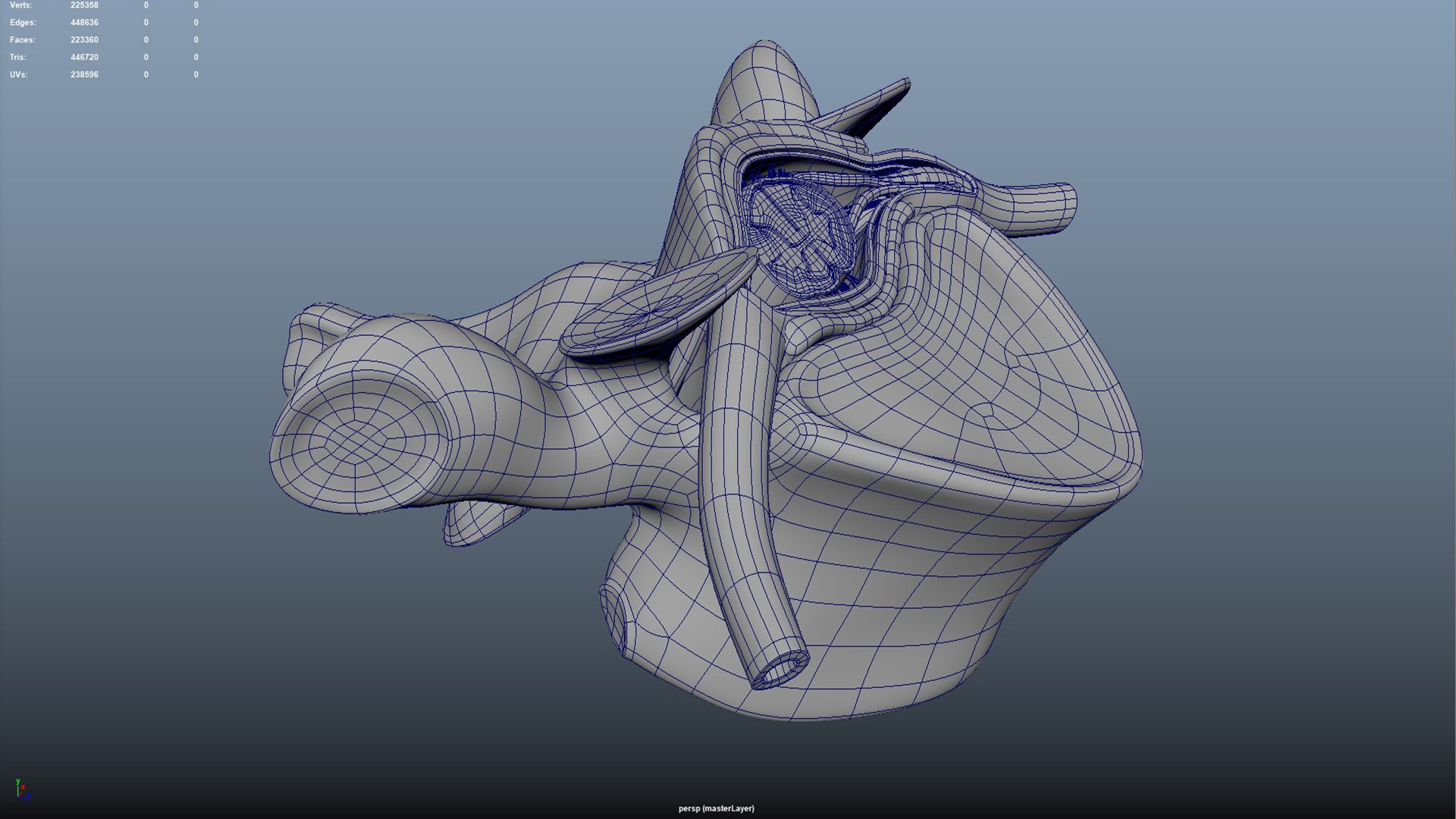 3D Vertebrae Cross Section With Spinal Cord Model - TurboSquid 2189320
