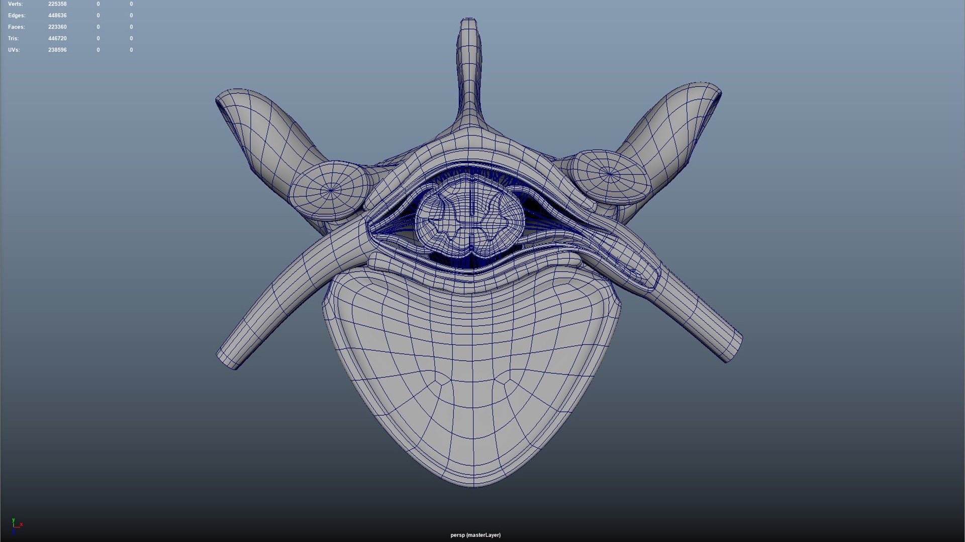 3d Vertebrae Cross Section With Spinal Cord Model Turbosquid 2189320