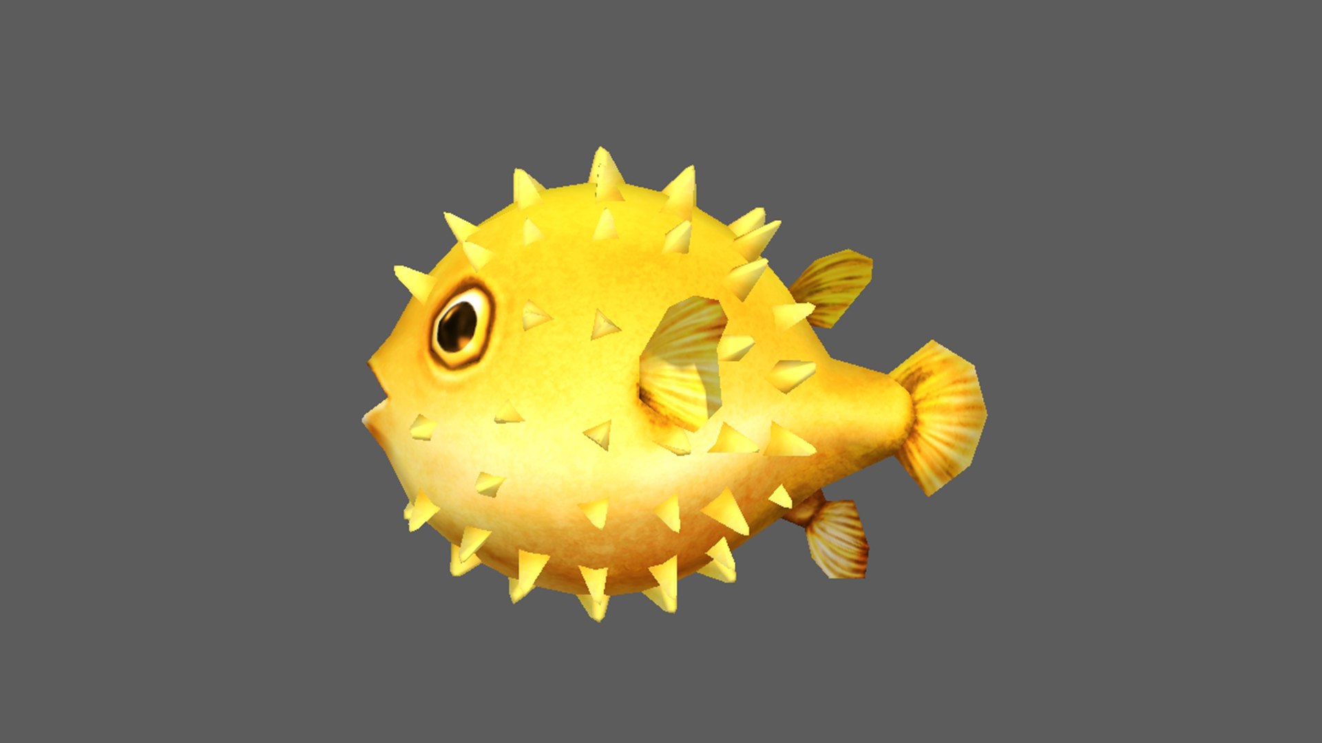 Puffer Fish 3D Model - TurboSquid 1710843