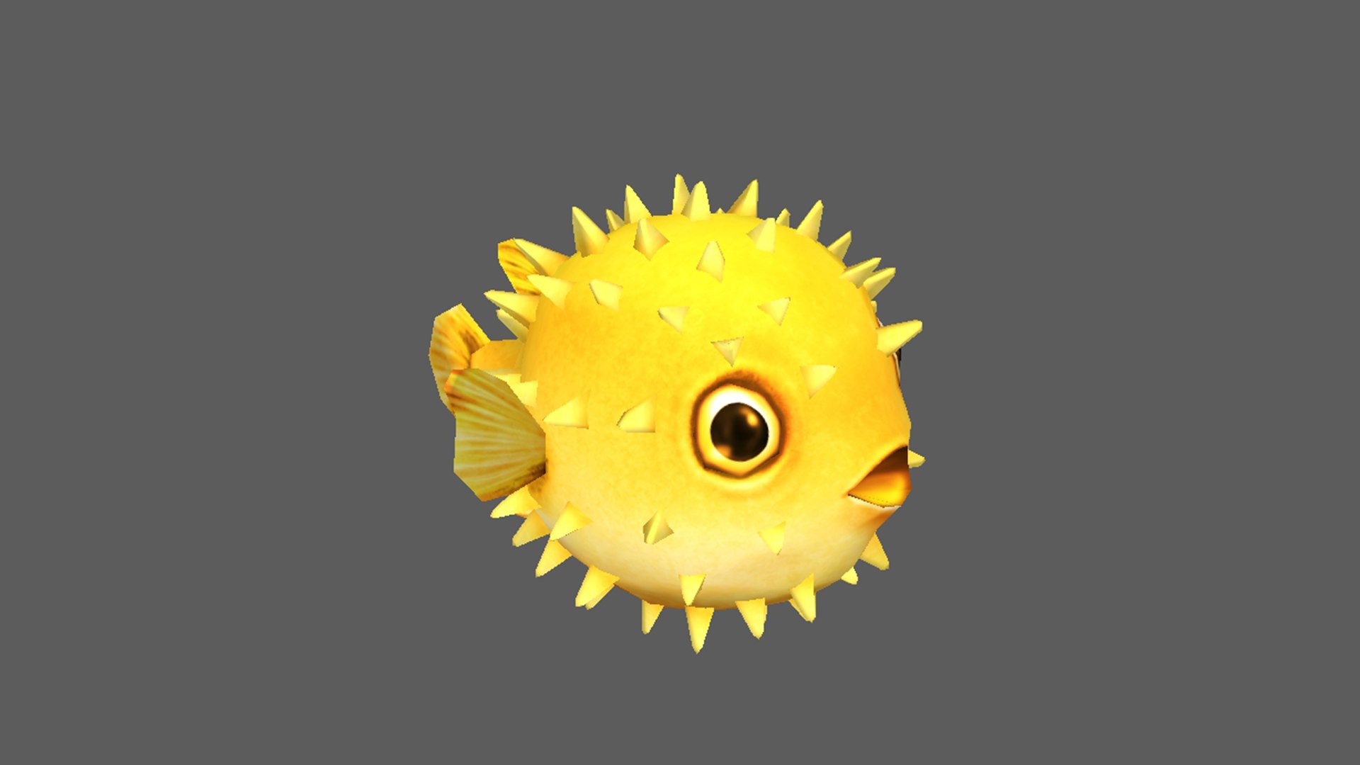 Puffer Fish 3D Model - TurboSquid 1710843