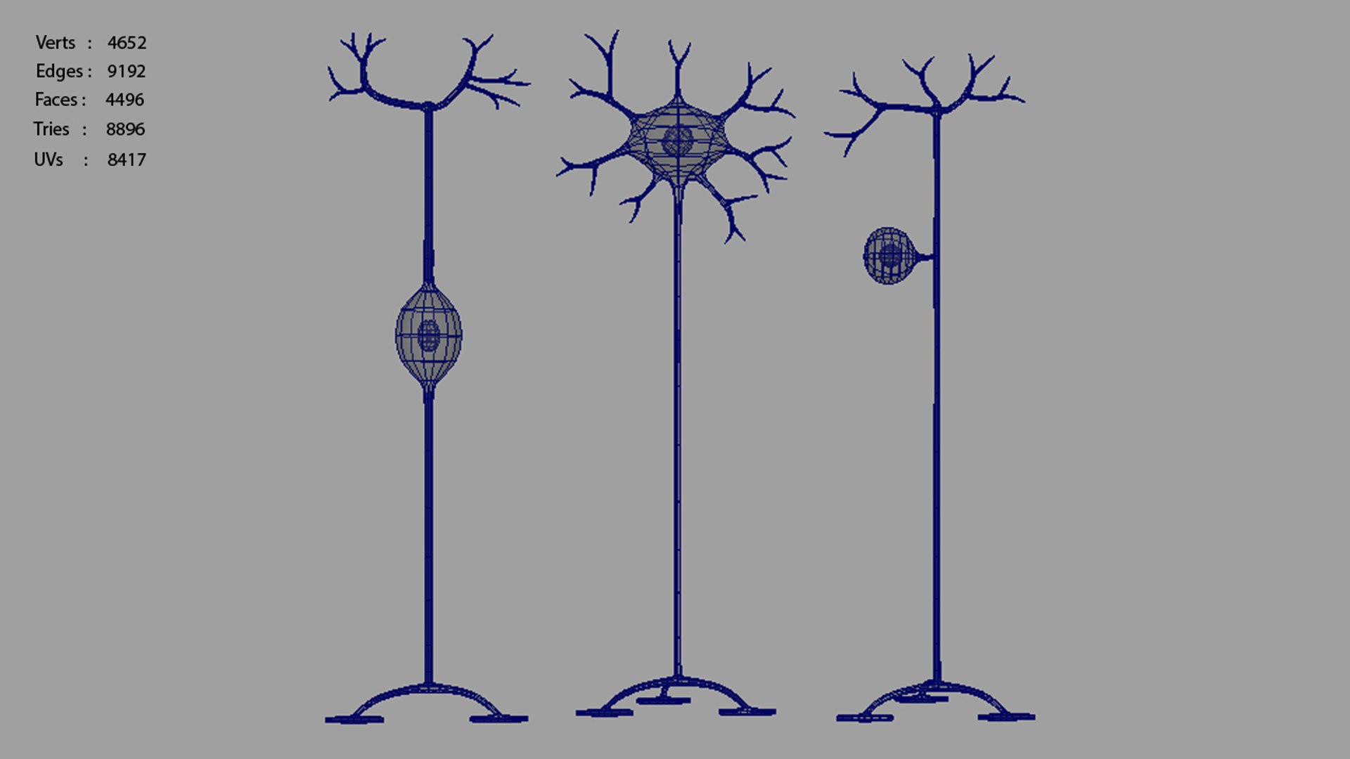 Neurons Cell Synapses 3d Model