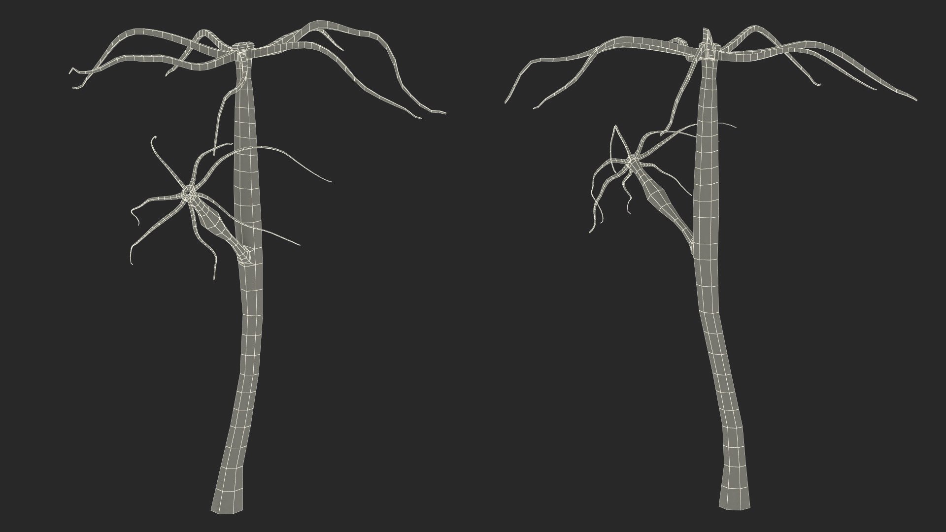 3D Hydra Genus Polyp model - TurboSquid 2163737