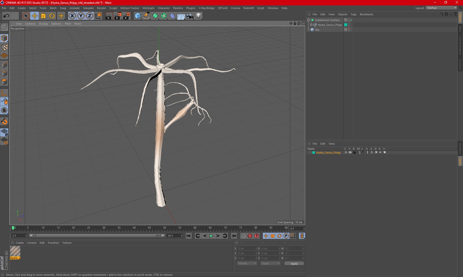 3D Hydra Genus Polyp model - TurboSquid 2163737