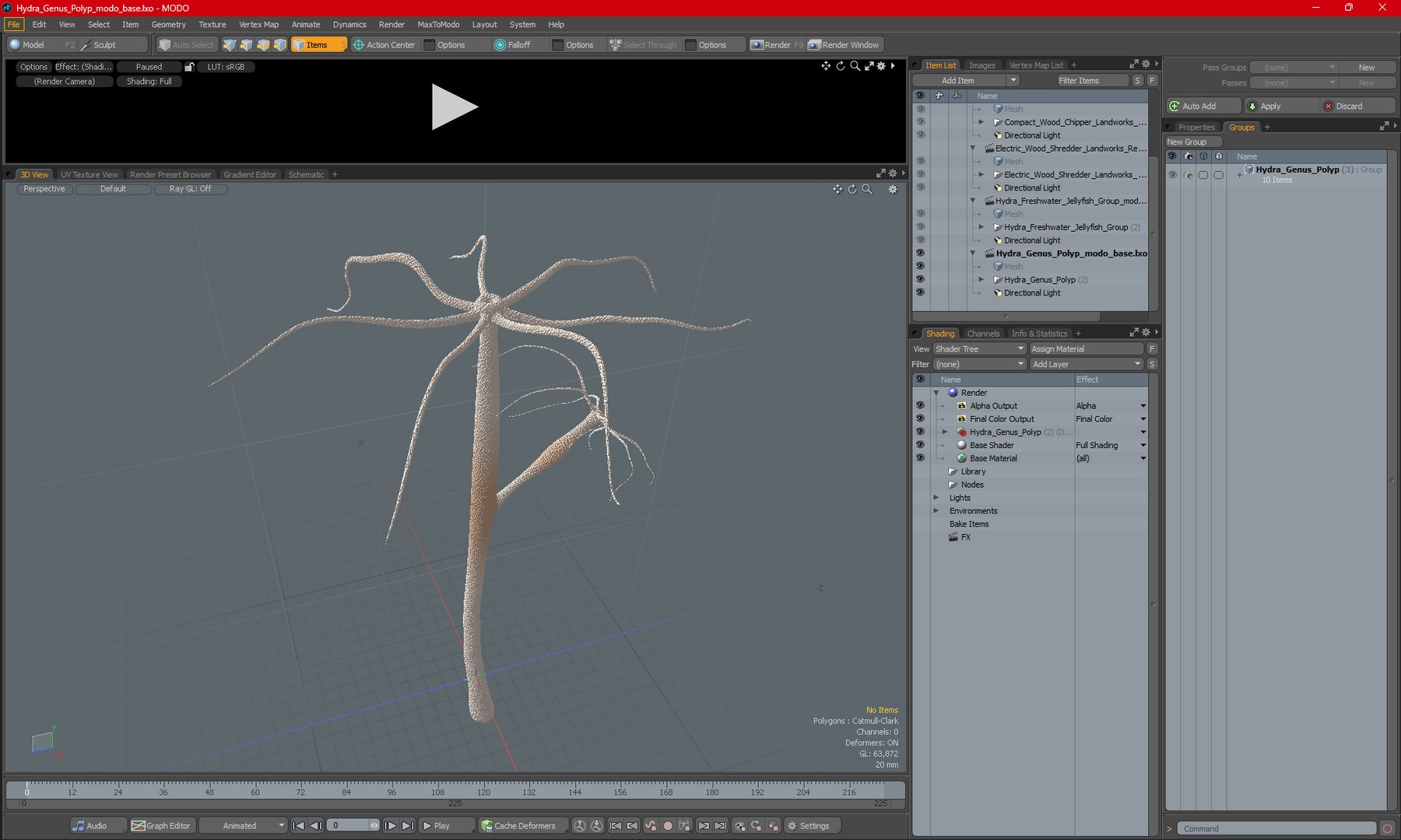 3D Hydra Genus Polyp Model - TurboSquid 2163737