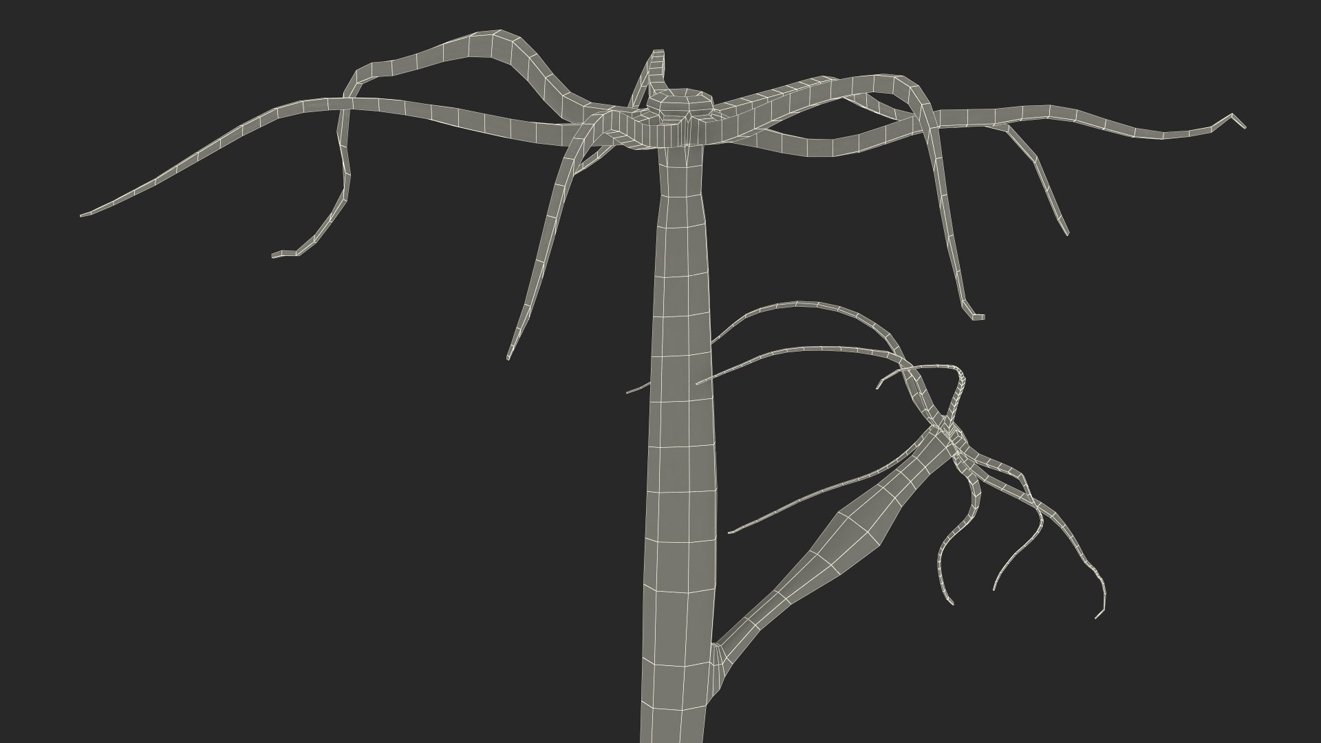 3D Hydra Genus Polyp Model - TurboSquid 2163737