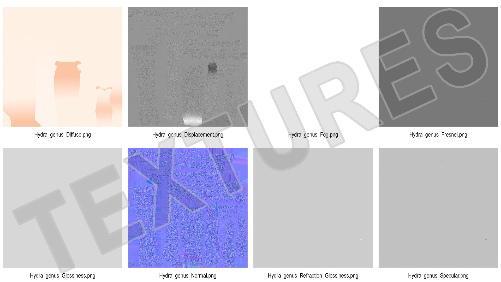 3D Hydra Genus Polyp model - TurboSquid 2163737