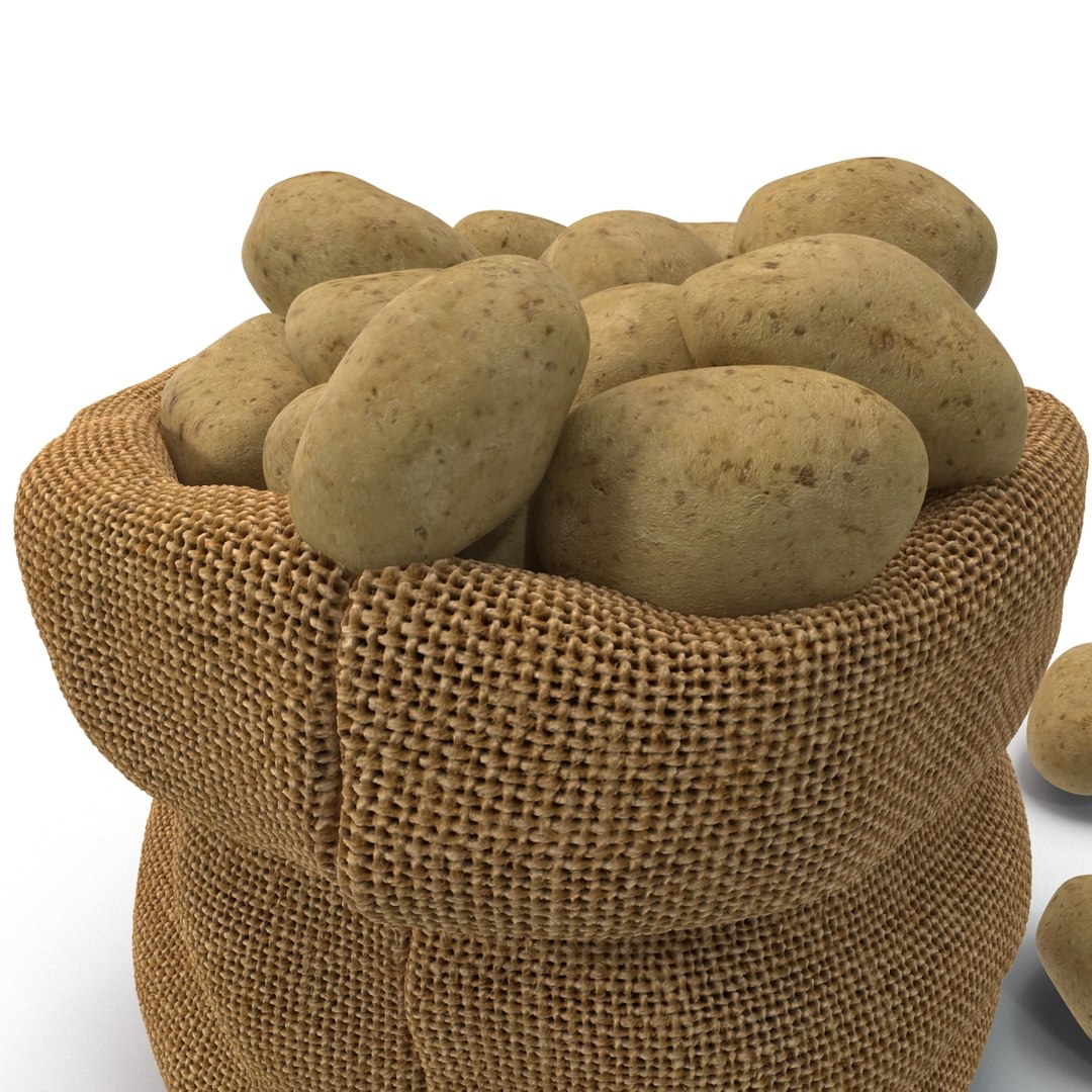 3d Model Sack Potatoes