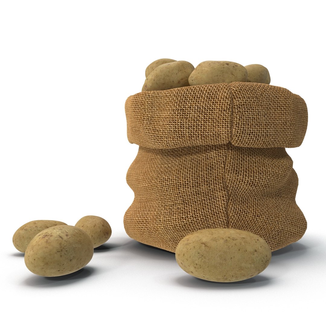 3d Model Sack Potatoes