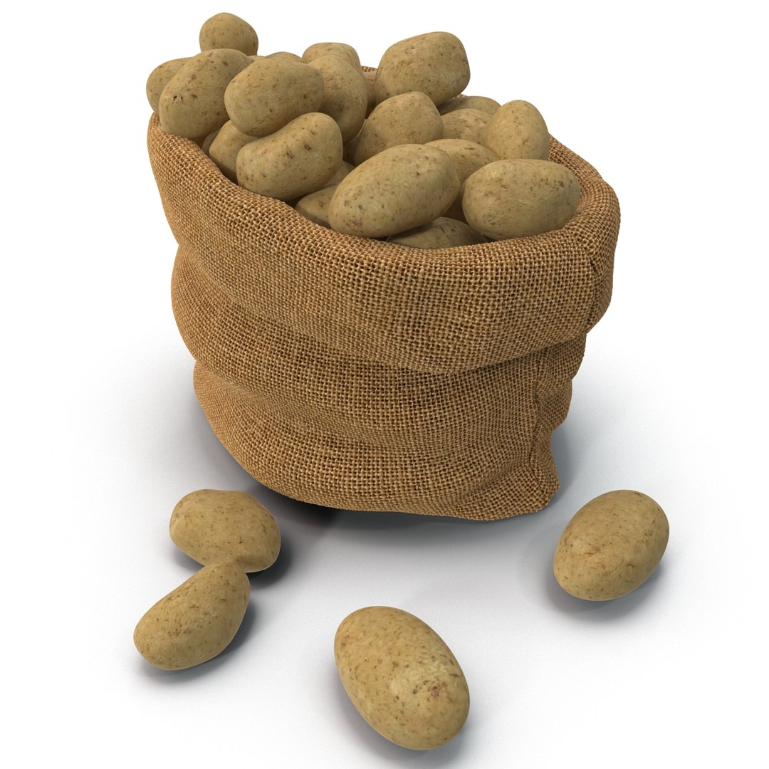 3d Model Sack Potatoes