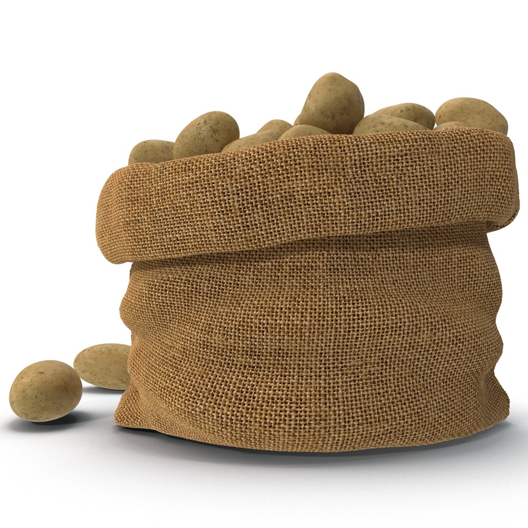 3d Model Sack Potatoes