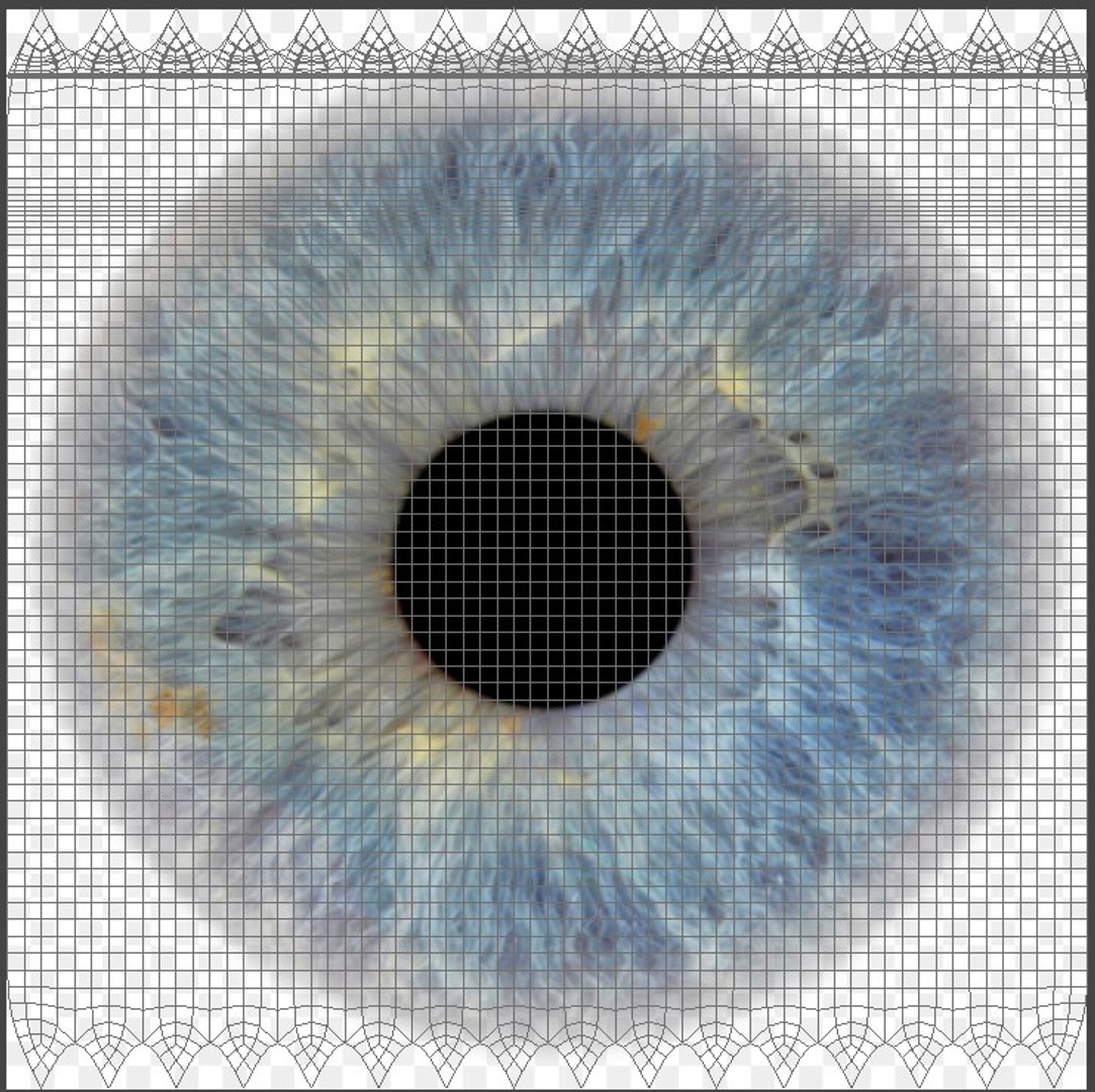 3D eyes fish - TurboSquid 1499606