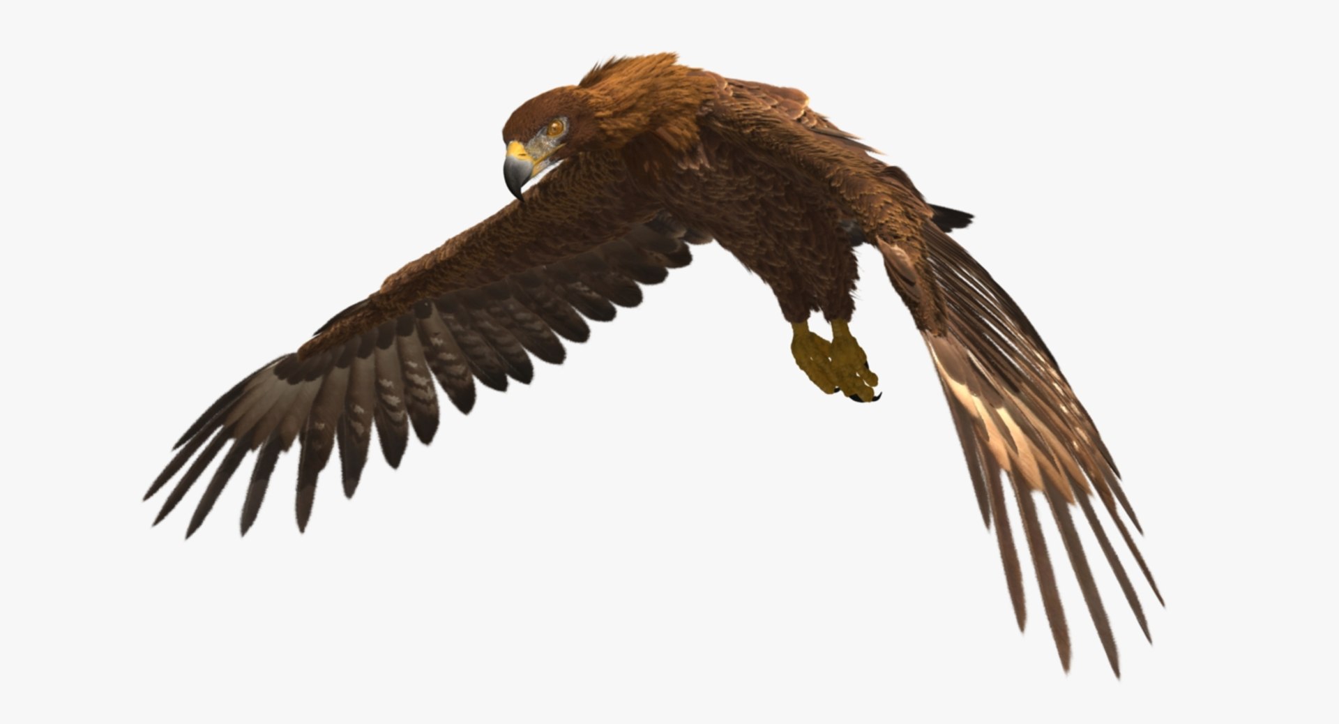 3d Model Golden Eagle