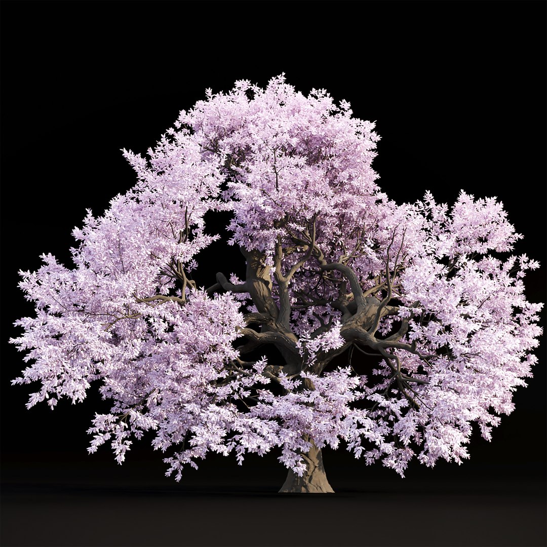 Cherry blossom tree vol 199 3D - TurboSquid 2052412