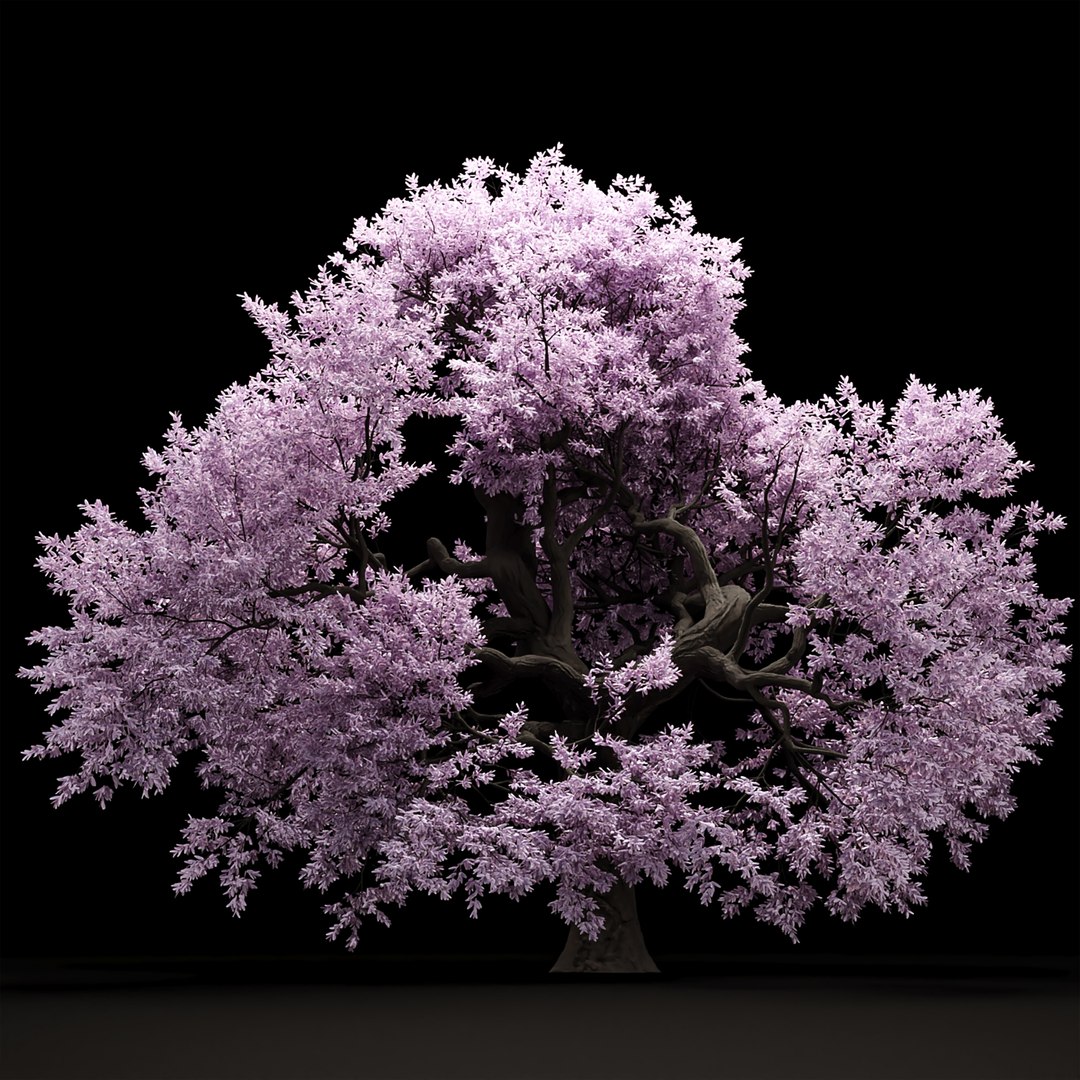 Cherry blossom tree vol 199 3D - TurboSquid 2052412