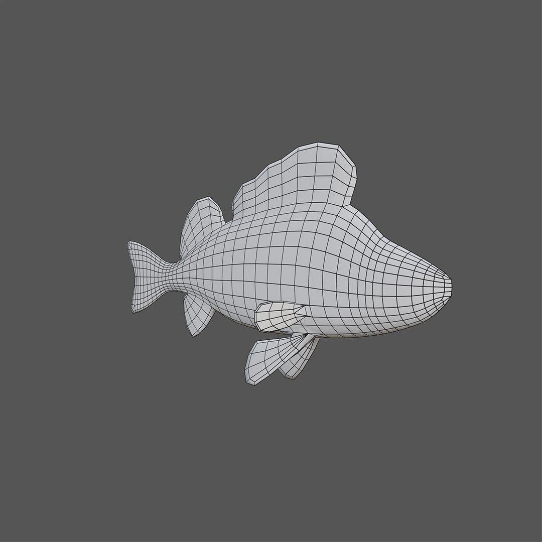Low-poly Perch Fish Animations 3D Model - TurboSquid 1612978