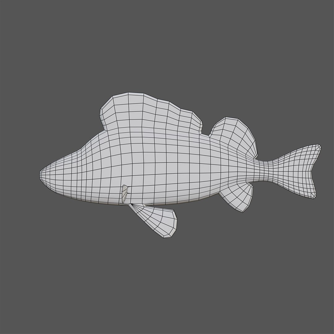 Low-poly Perch Fish Animations 3D Model - TurboSquid 1612978
