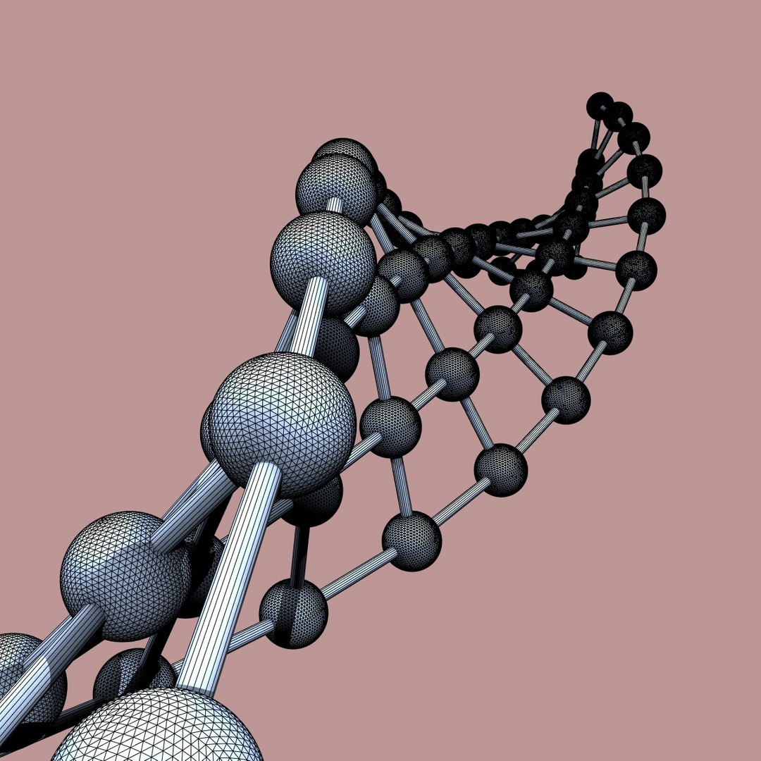 Dna Structure 3d Model