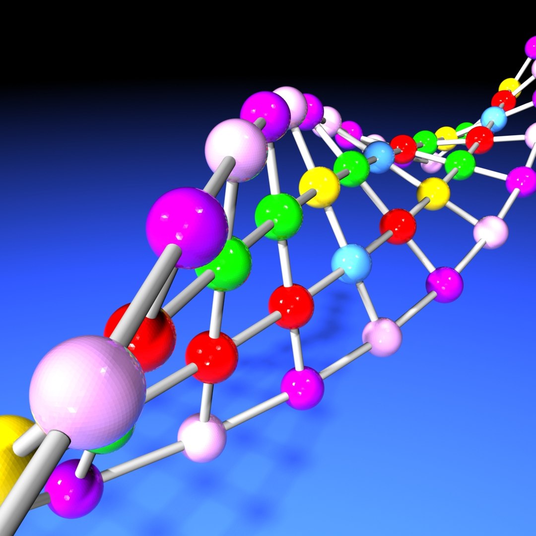 Dna Structure 3d Model