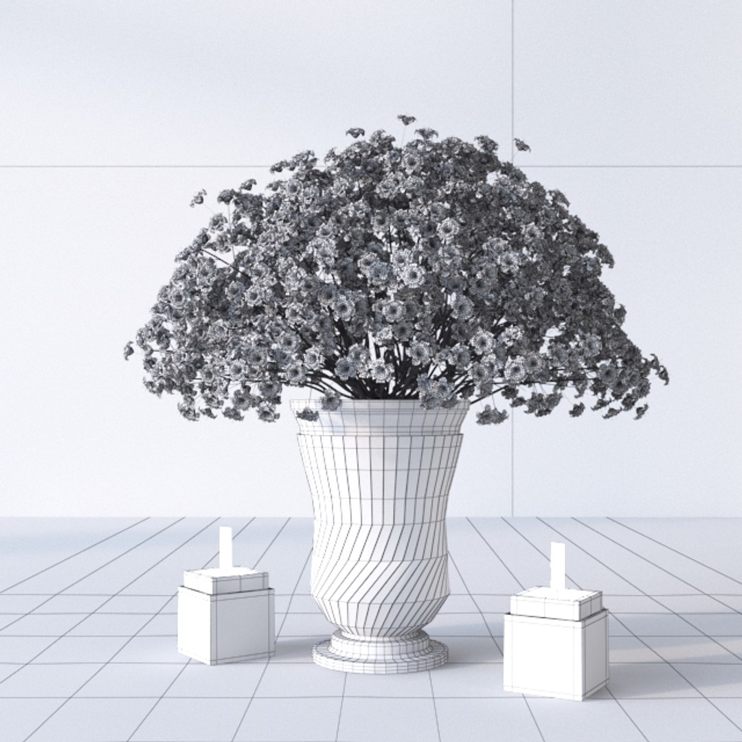 Bouquet Gypsophila Vase 3d Max