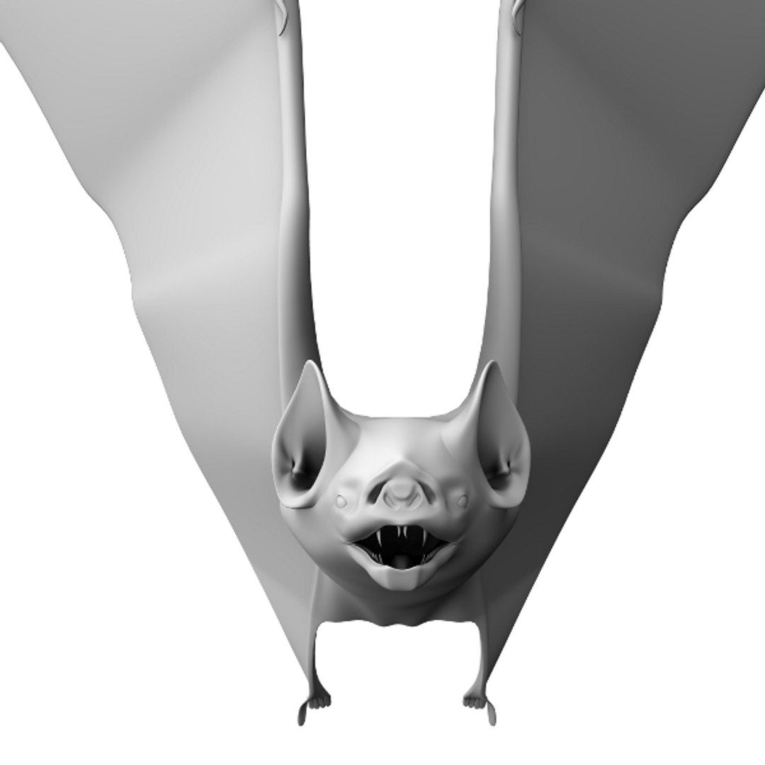 3d Vampire Bat Model