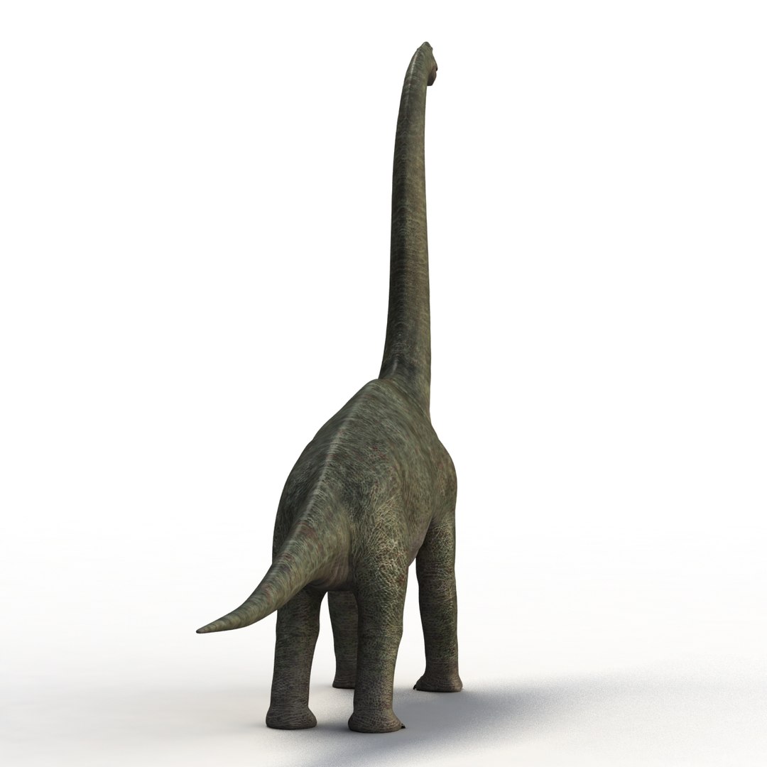 3ds Max Brachiosaurus Dinosaur Din00