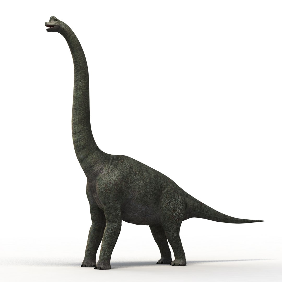 3ds Max Brachiosaurus Dinosaur Din00