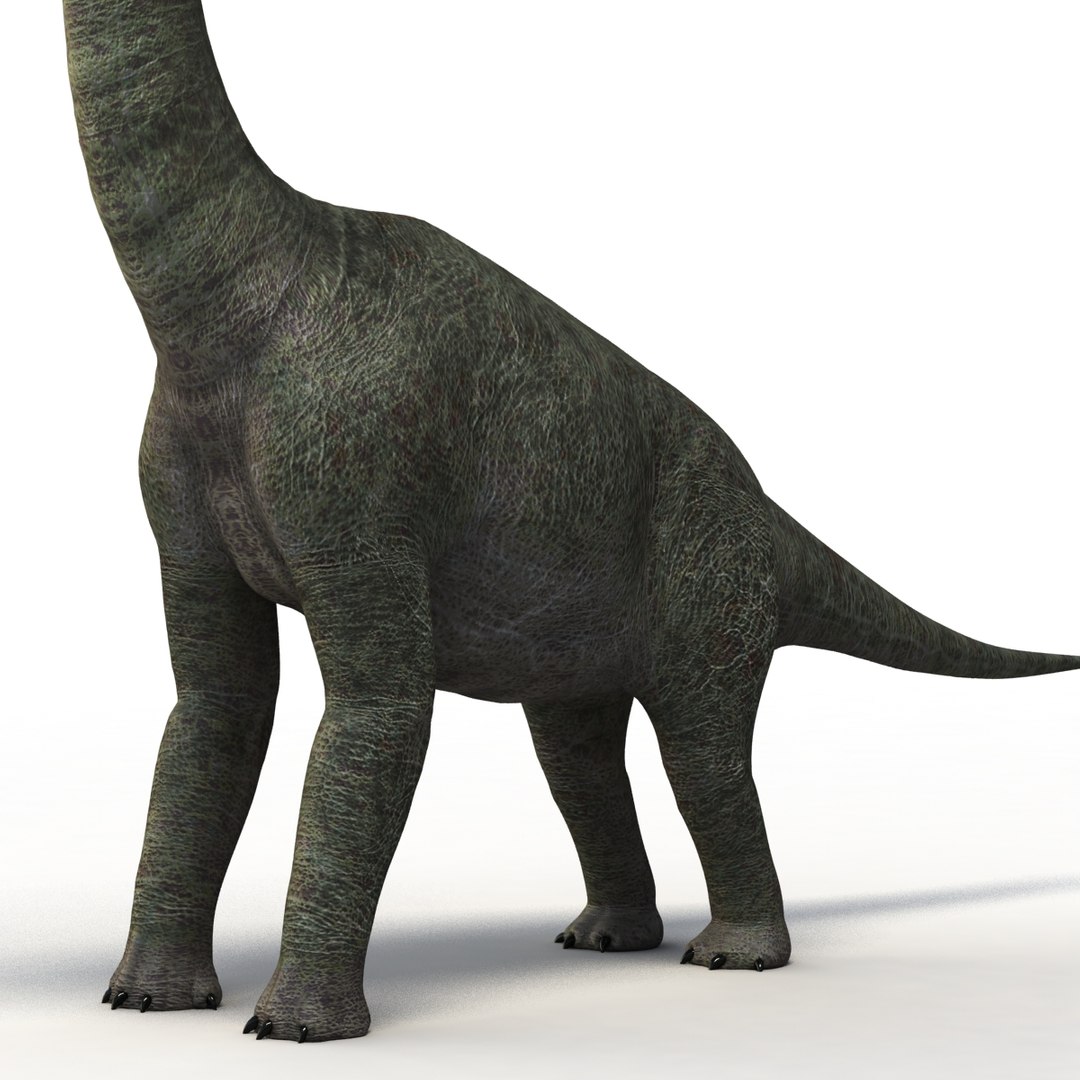 3ds Max Brachiosaurus Dinosaur Din00