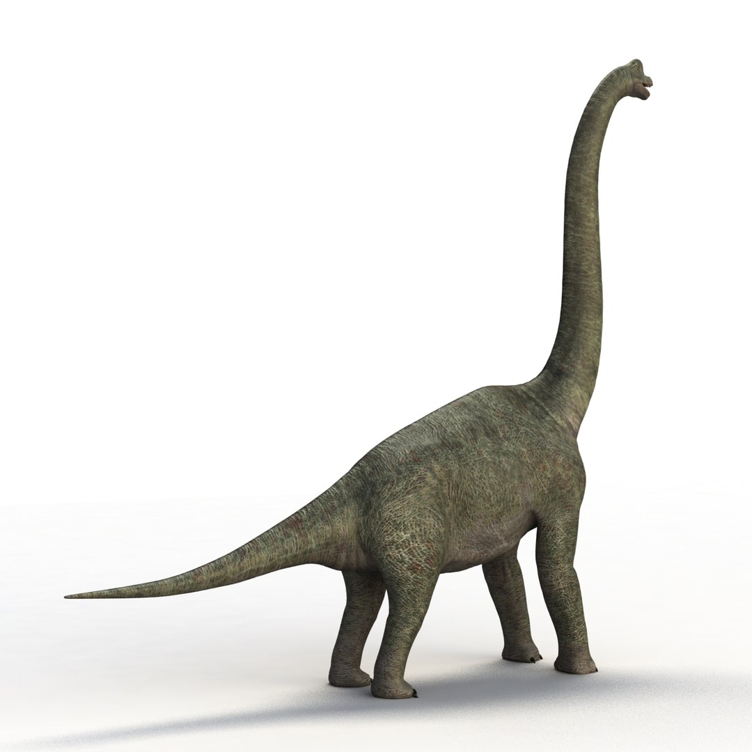 3ds Max Brachiosaurus Dinosaur Din00