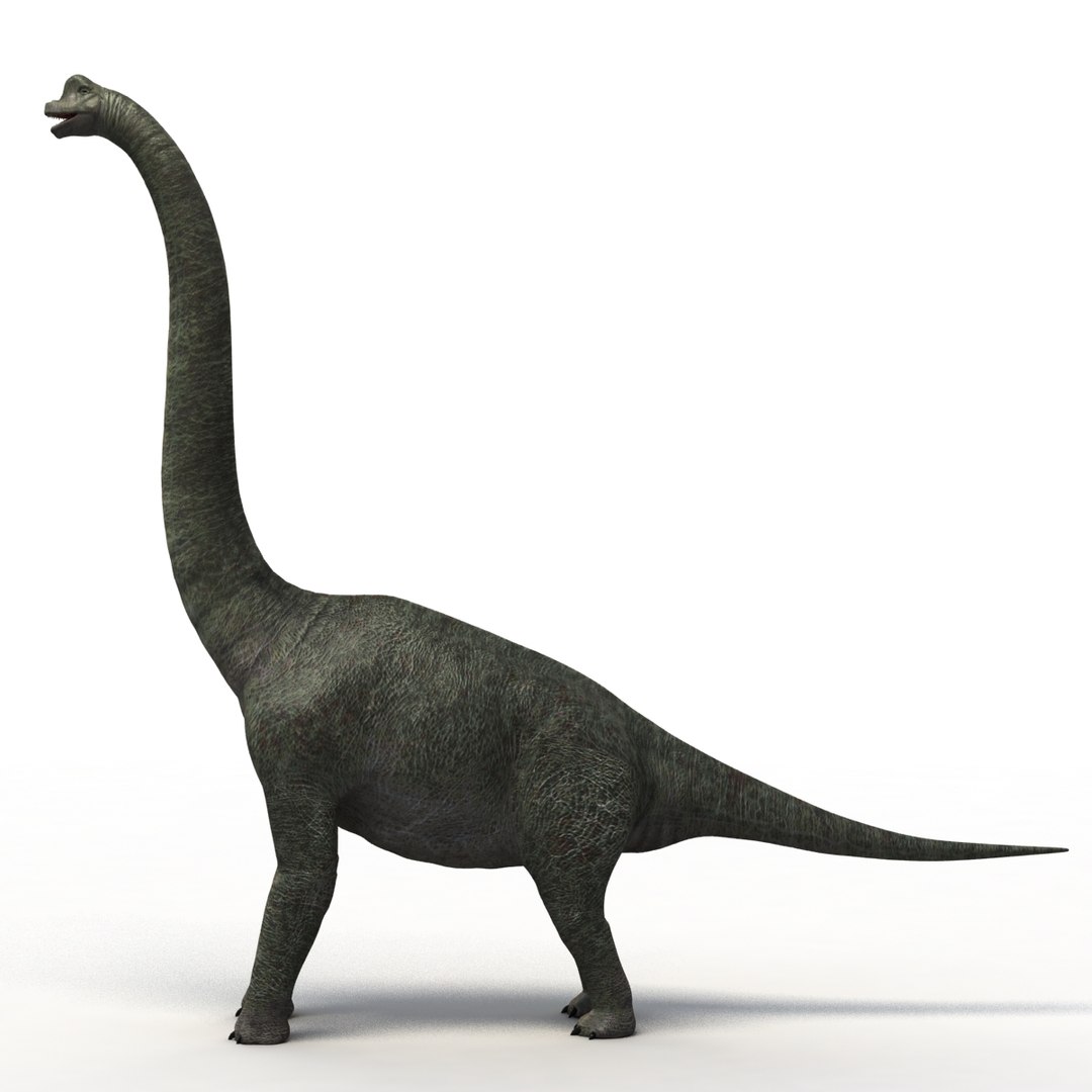 3ds Max Brachiosaurus Dinosaur Din00
