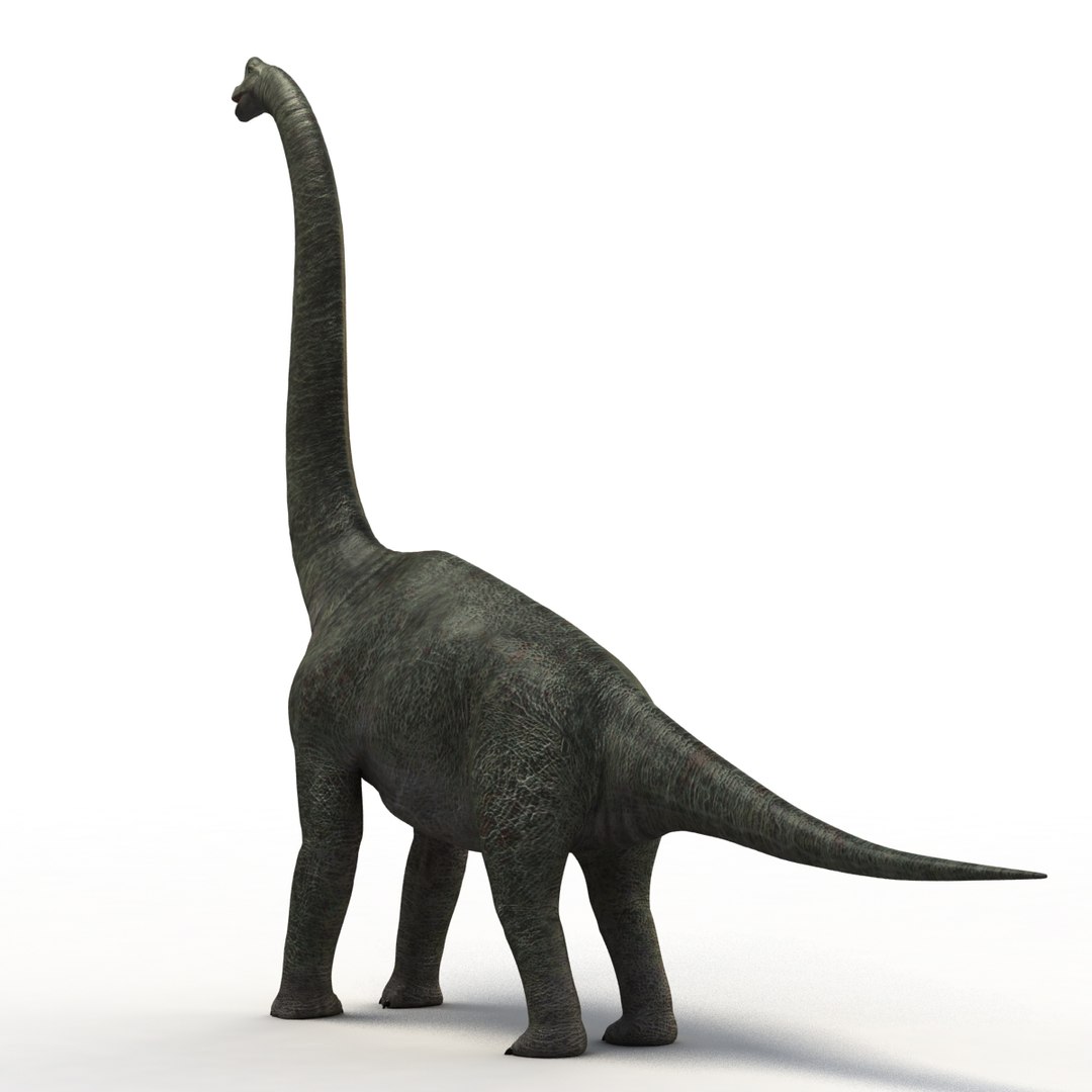 3ds Max Brachiosaurus Dinosaur Din00