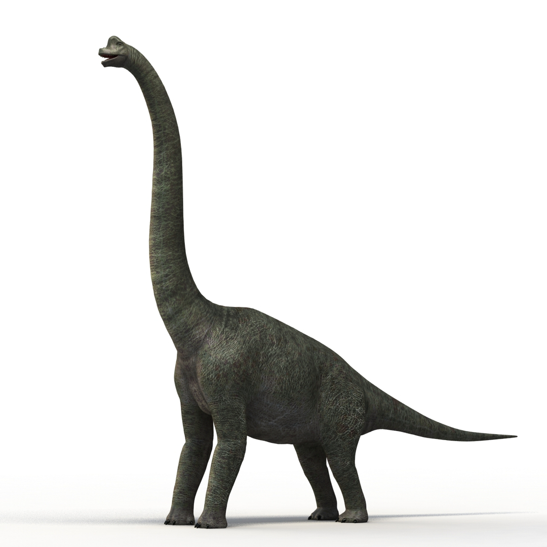 3ds Max Brachiosaurus Dinosaur Din00