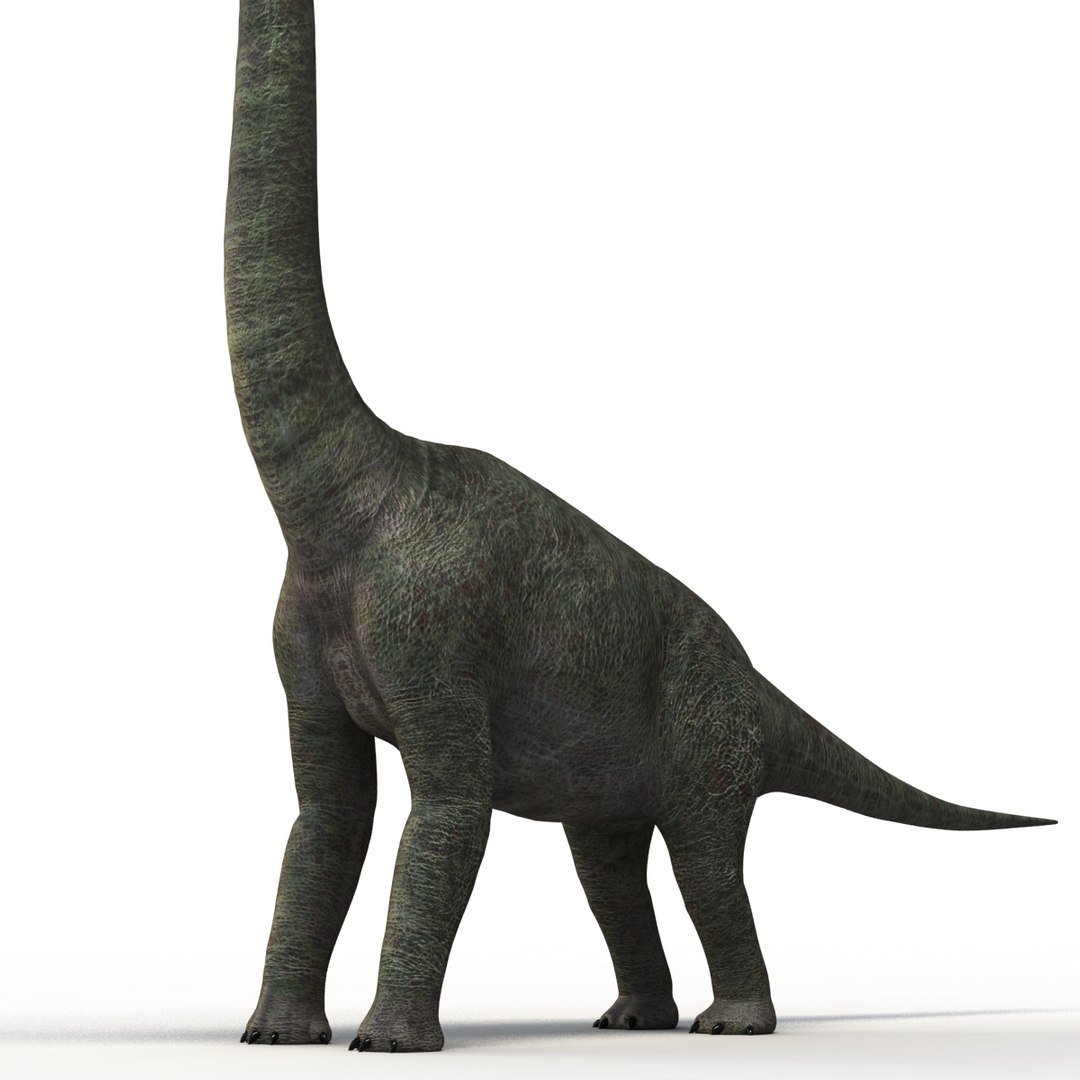 3ds Max Brachiosaurus Dinosaur Din00