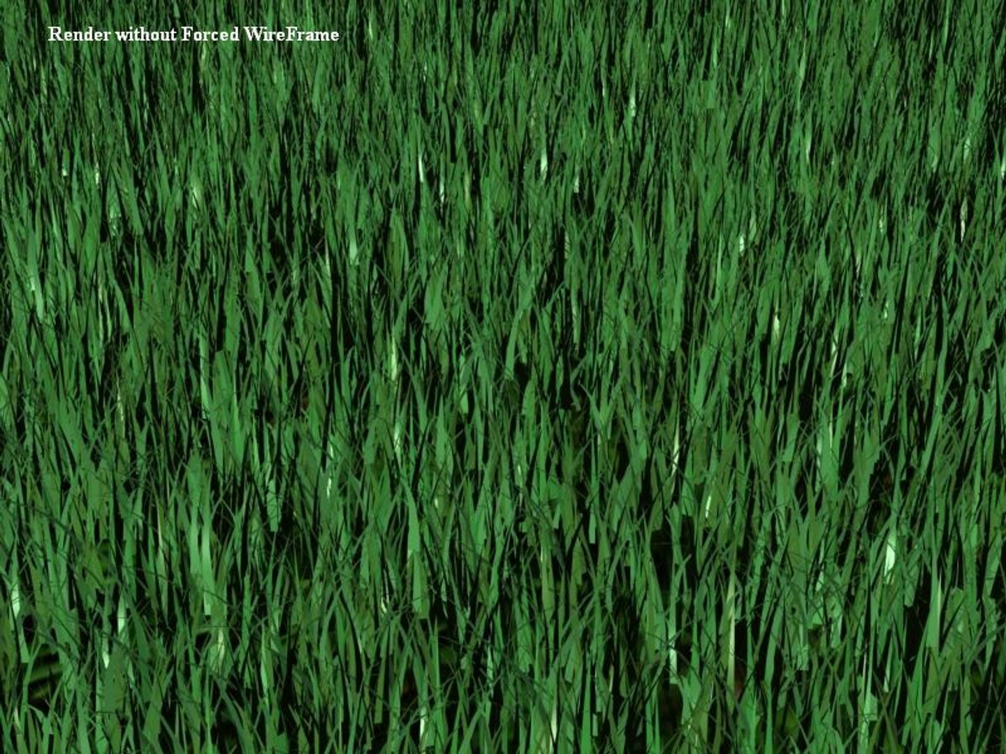 Grass Gras 3d Model