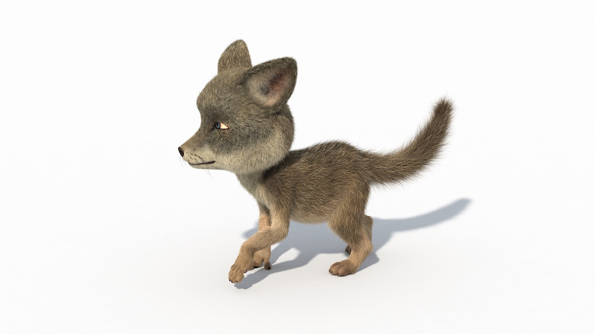 3D Wolf Cub Model - TurboSquid 2038174