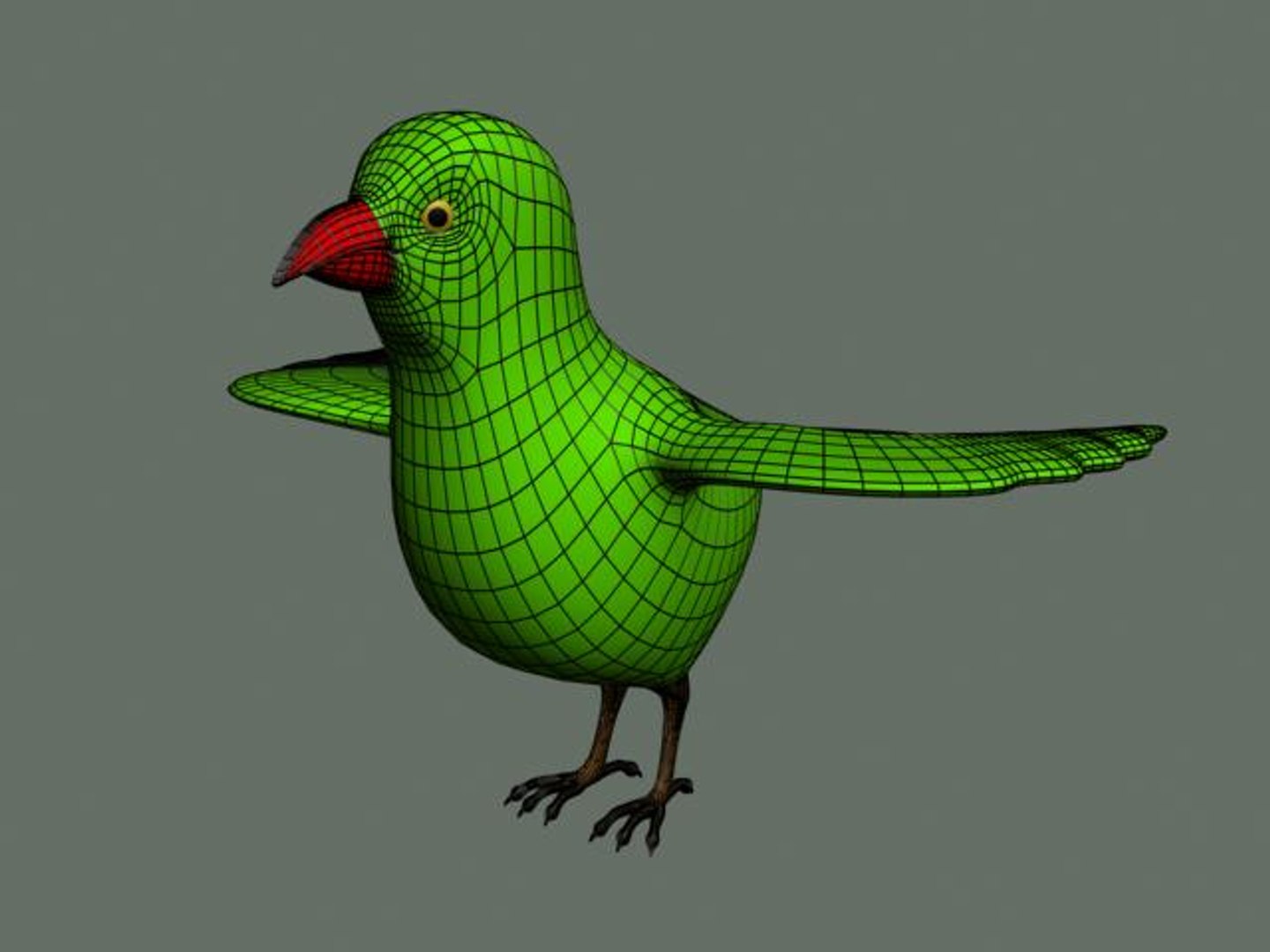 3d Model Parrot