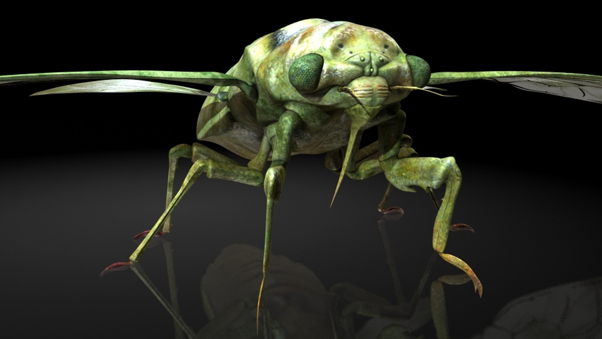 3D Model Insect - TurboSquid 1214940