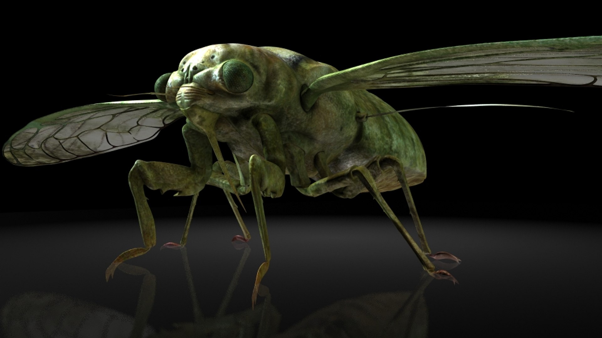 3D Model Insect - TurboSquid 1214940