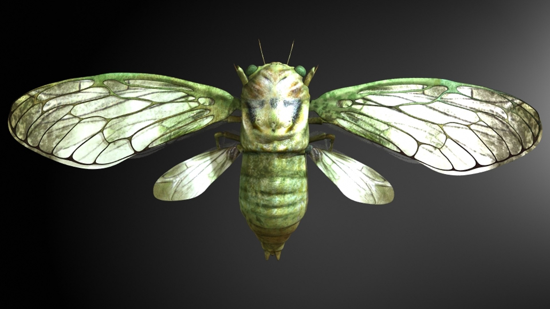 3D Model Insect - TurboSquid 1214940