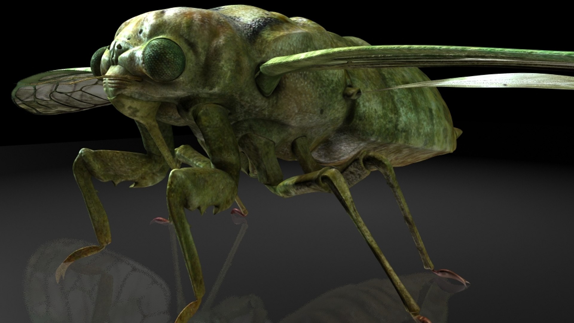 3D Model Insect - TurboSquid 1214940