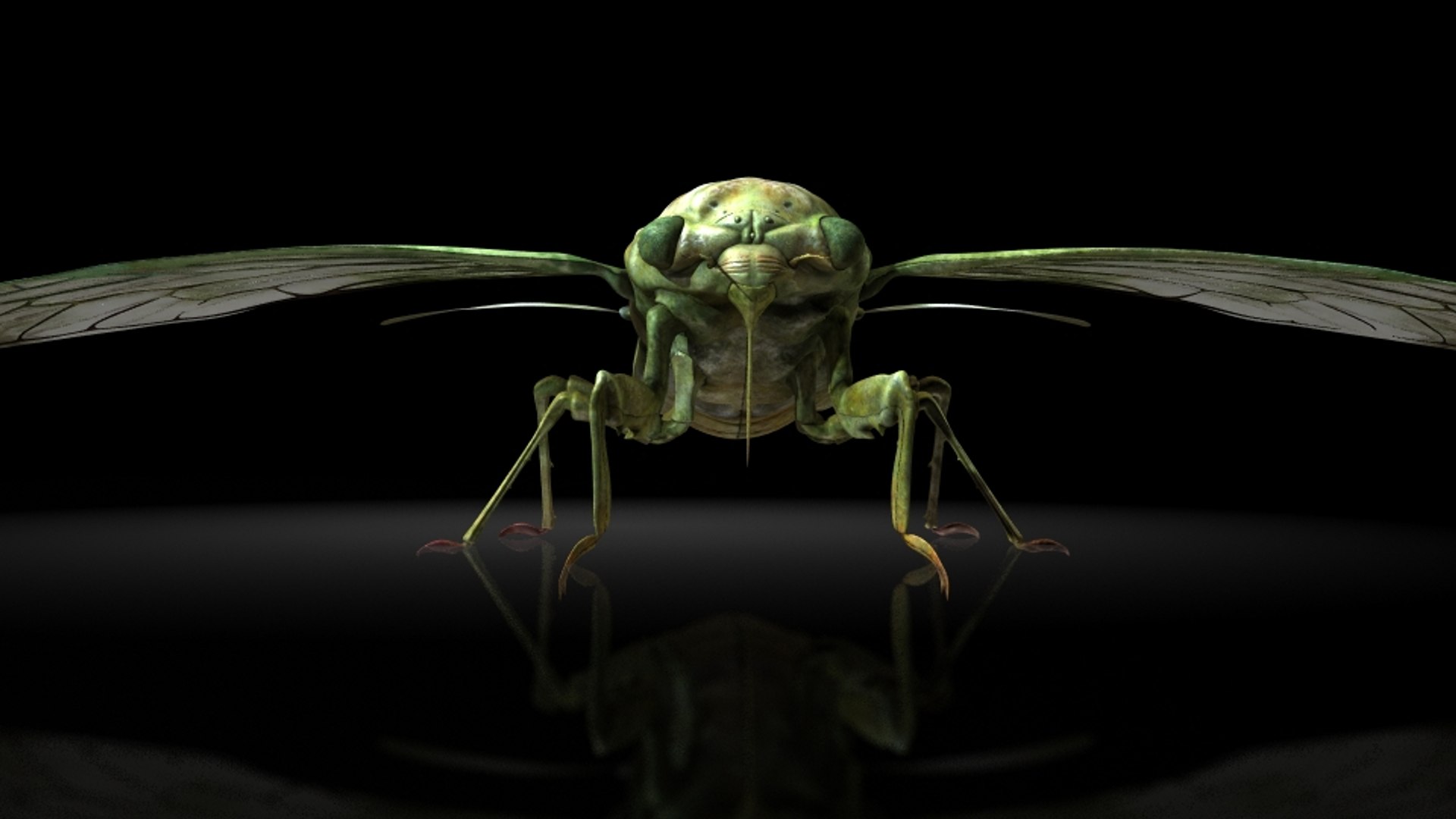 3D Model Insect - TurboSquid 1214940
