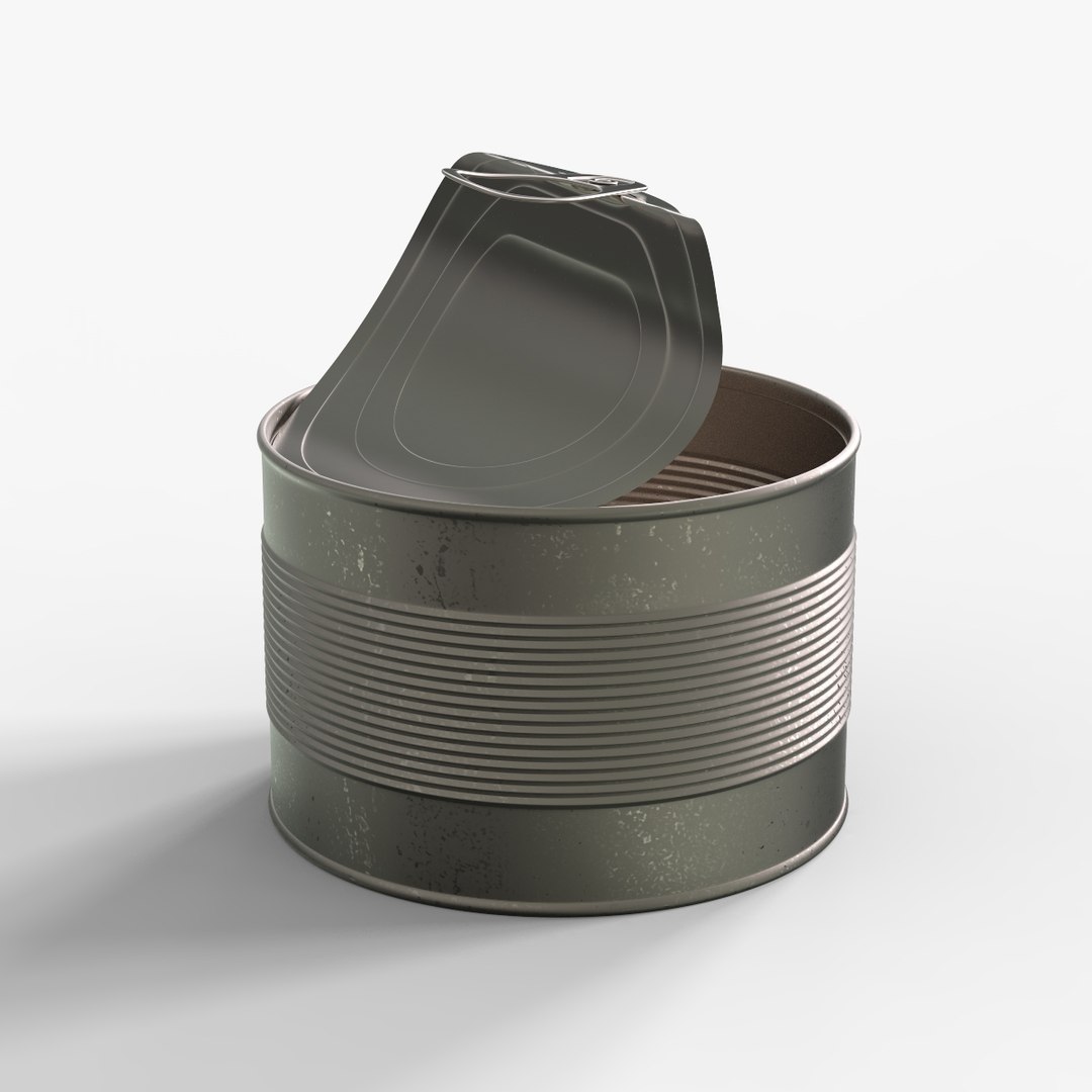 Opened Conserve Box 3D - TurboSquid 1267413