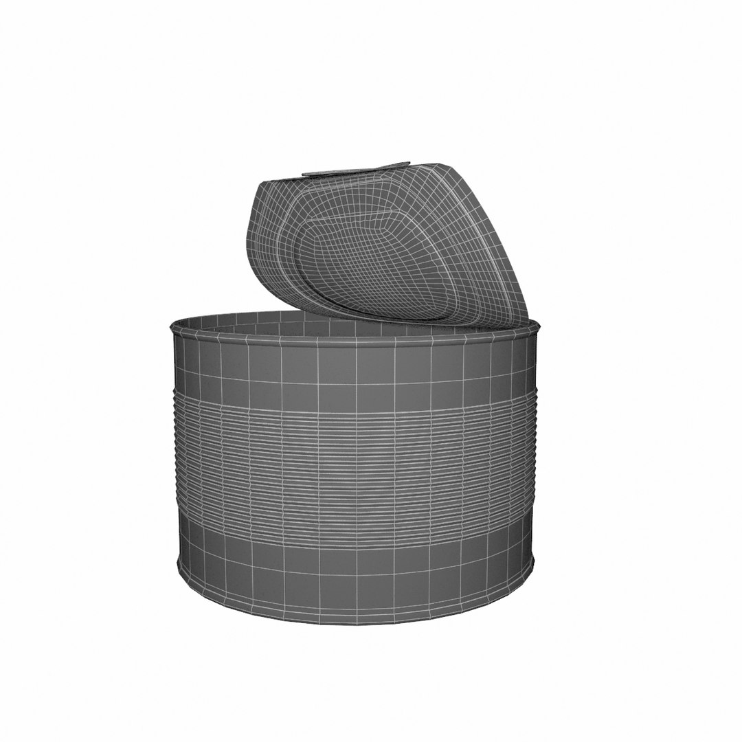 Opened Conserve Box 3D - TurboSquid 1267413