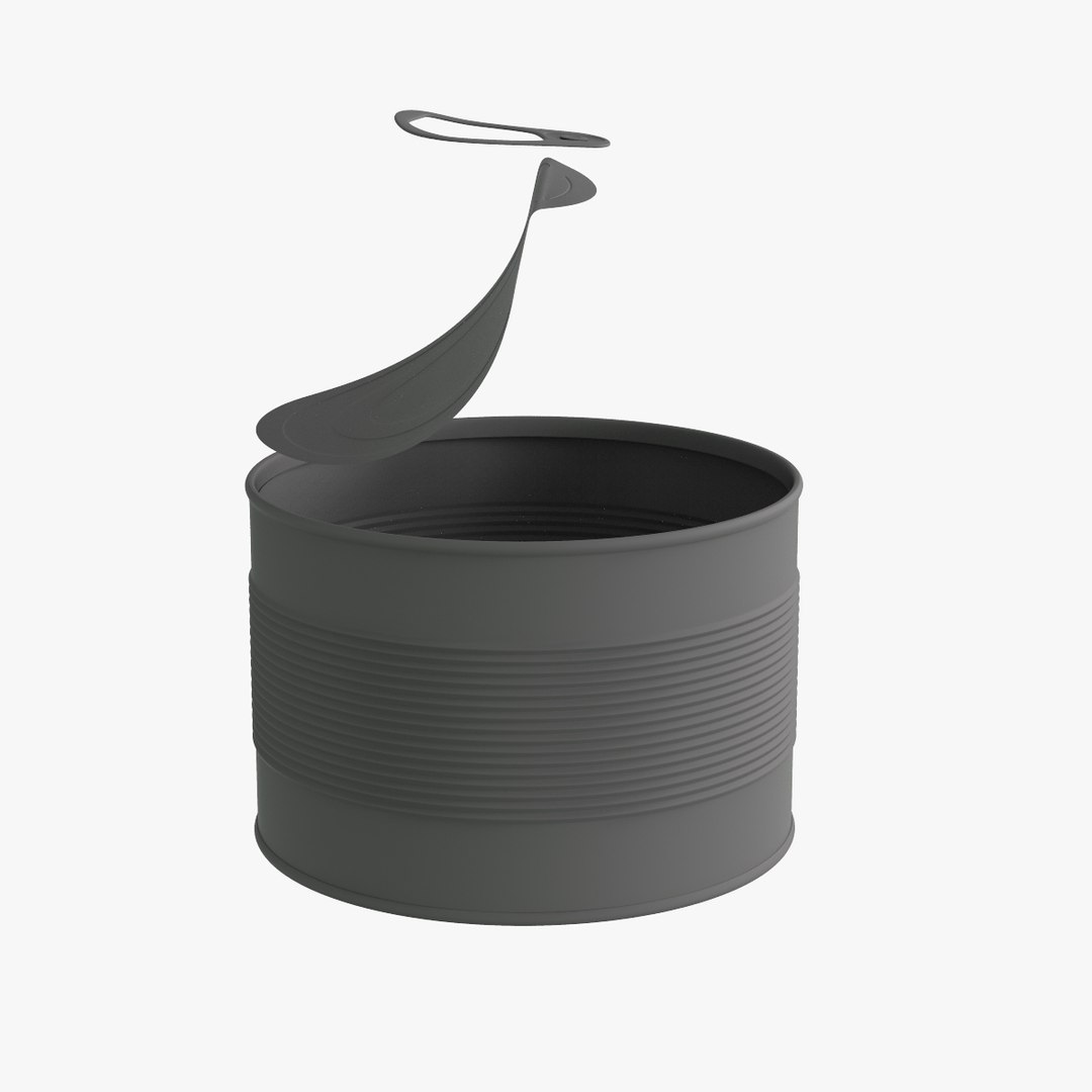 Opened Conserve Box 3D - TurboSquid 1267413