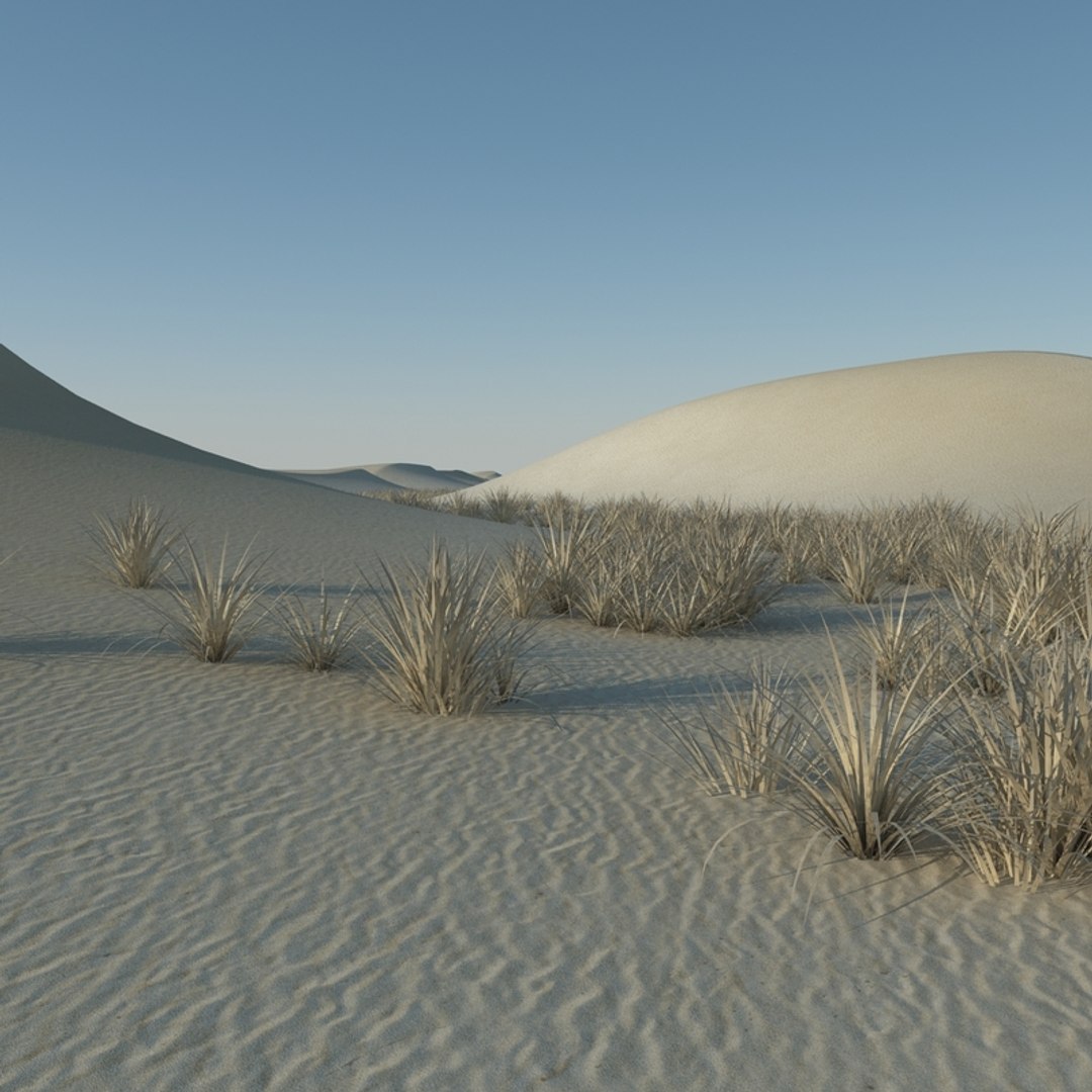 desert sand landscape terrain 3d model