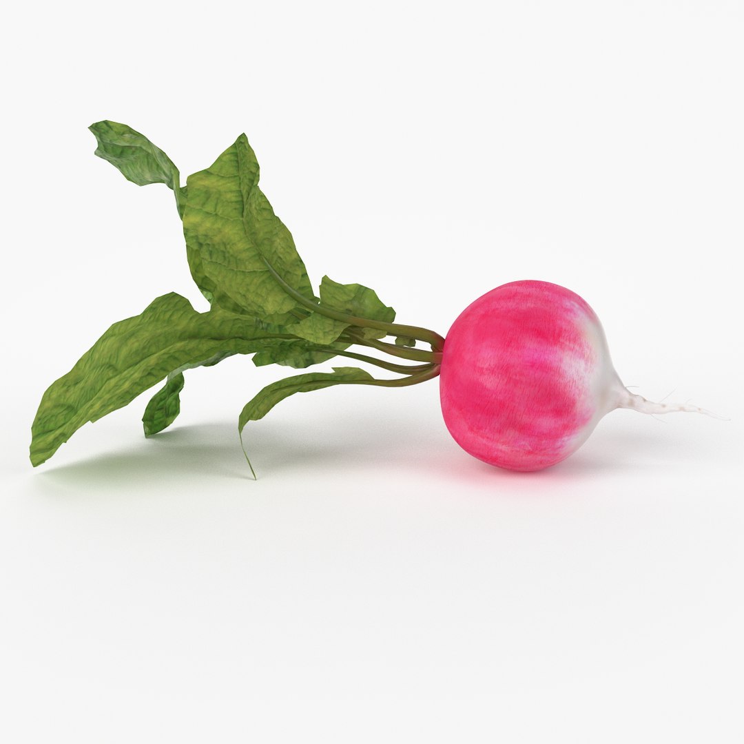Realistic Red Radish Real 3d Model