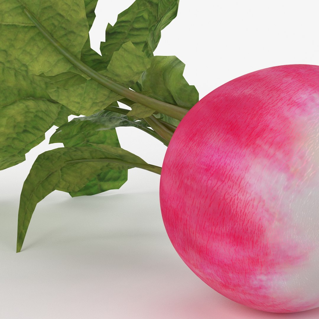 Realistic Red Radish Real 3d Model
